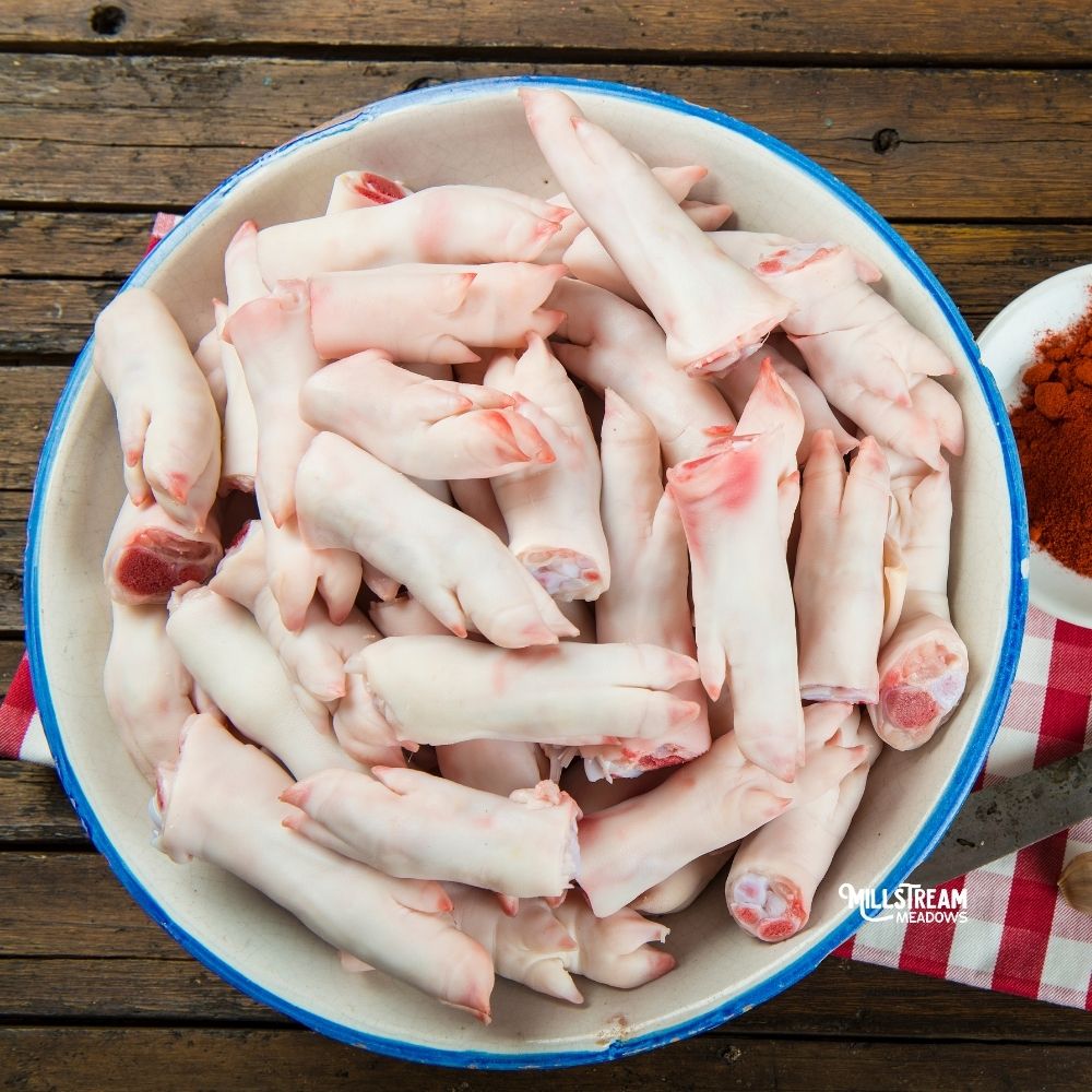 Pork Trotters (Feet) – Millstream Meadows